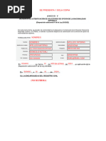 Anexo III - Modelo | PDF | Gobierno y personalidad | Justicia