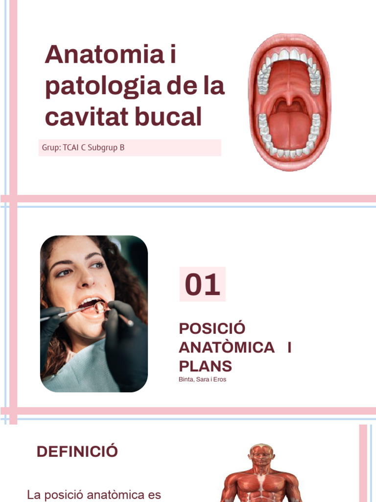 Anatomia I Patologia de La Cavitat Bucal | PDF