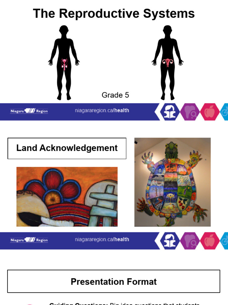 Grade 5 Reproductive System Overview | PDF | Reproductive System | Prostate