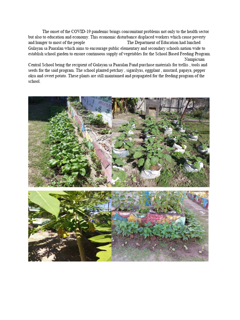 School Gardens for Student Nutrition | PDF | Social Science | Wellness