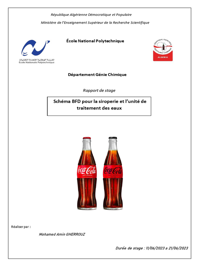 Rapport de Stage (Fruital Coca Cola) | PDF