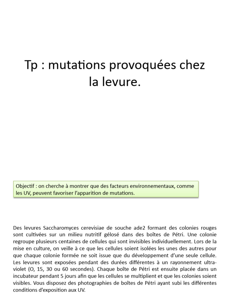 Effet des UV sur mutations levure Ade2 | PDF | Saccharomyces cerevisiae ...