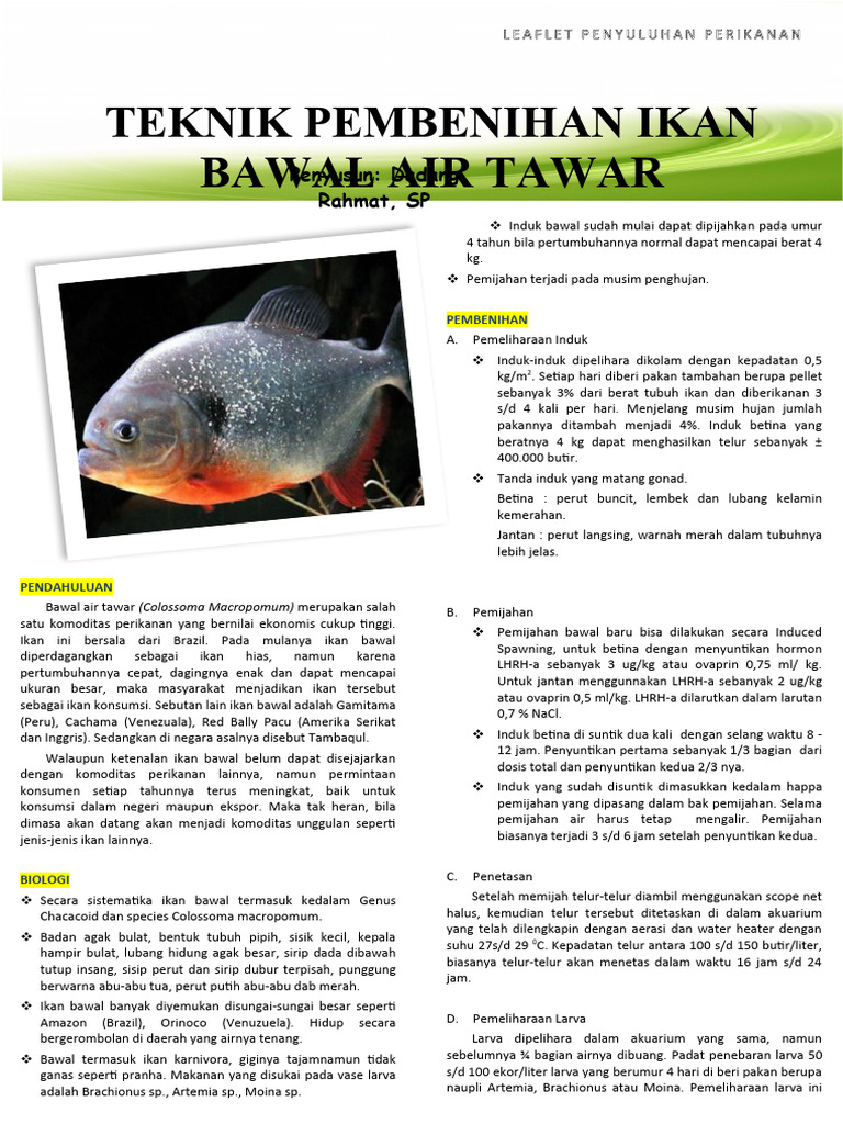 Leaflet Benih Bawal | PDF