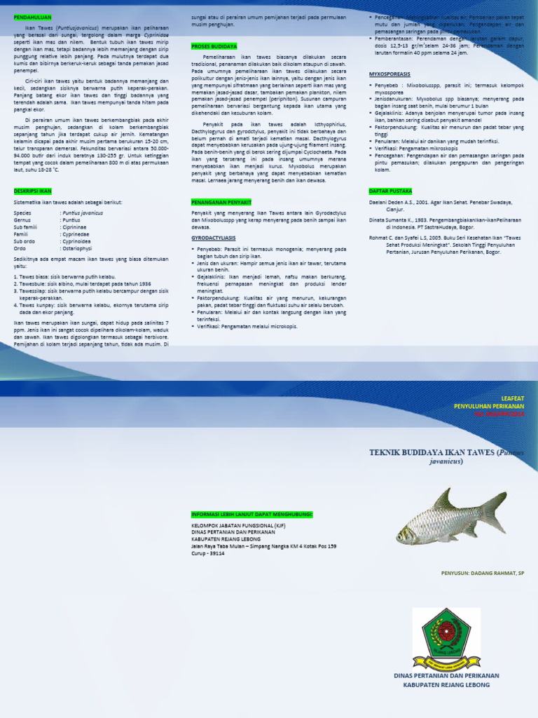 Leaflet Budidaya Ikan Tawes | PDF | Griya & Taman | Kesehatan Holistik