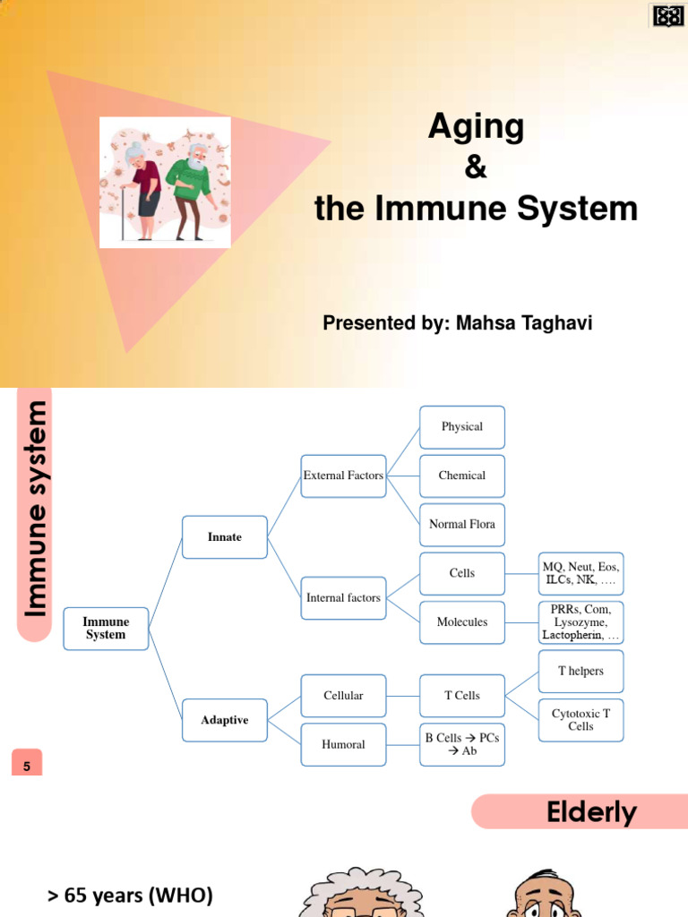 7-Aging and The Immune System - DR - Taghavi | PDF | T Cell | Immune System