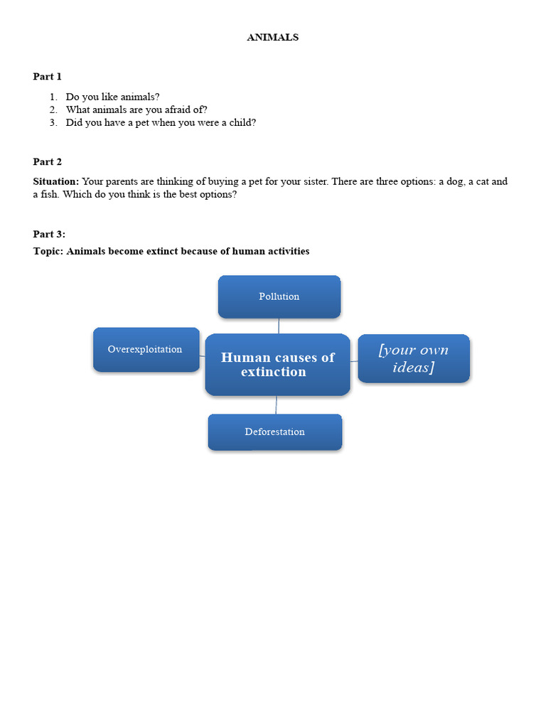 B1 Speaking - Unit 1 Animals | PDF