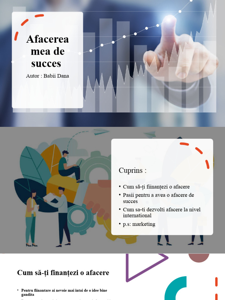 Afacere de Succes | PDF