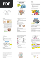 Portafolio 2 - El Vermis | PDF | Ciencia y matemáticas