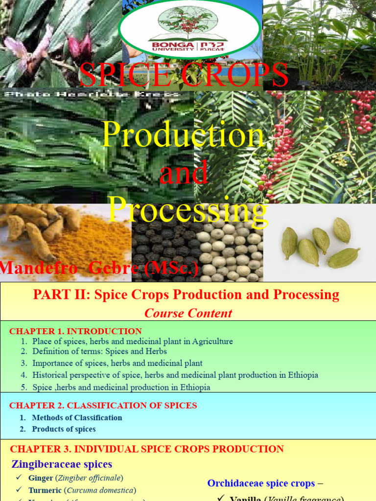 CH 1 To 2 Spices Introduction & Classification | PDF | Home & Garden