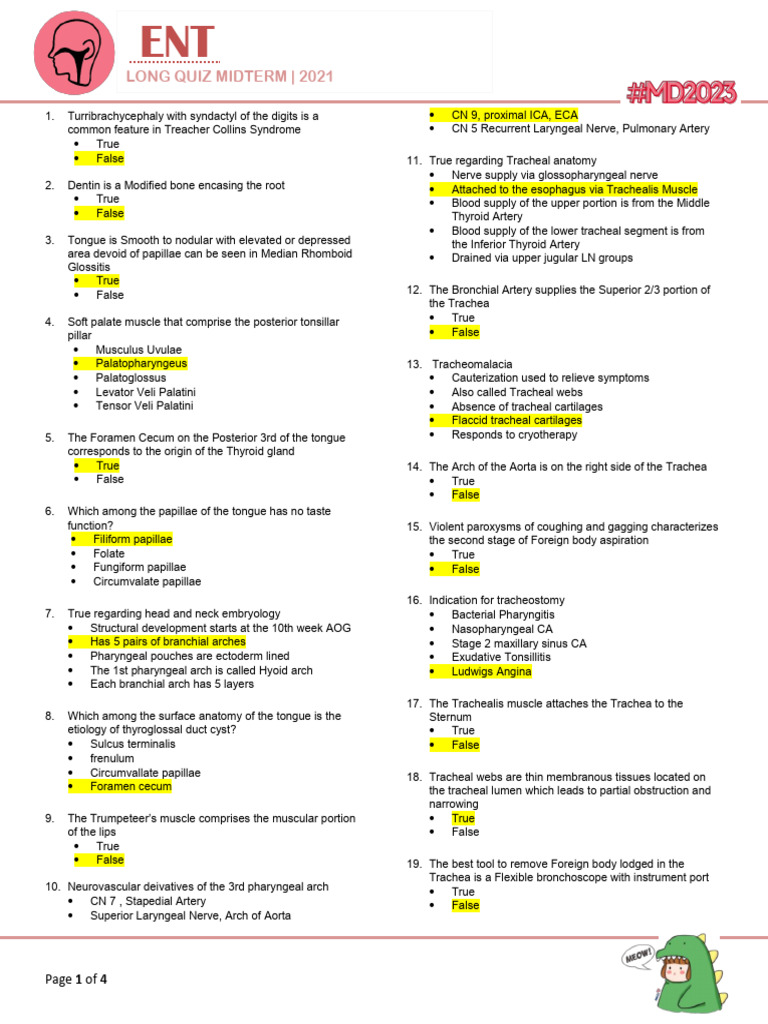 ENT Midterms Long Quiz | PDF | Larynx | Esophagus