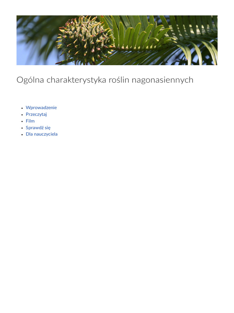 Ogolna Charakterystyka Roslin Nagonasiennych | PDF Ogolna Charakterystyka Roslin Nagonasiennych | PDF