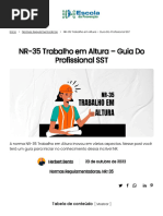 Normas Regulamentadoras Atualizadas 2024 | PDF