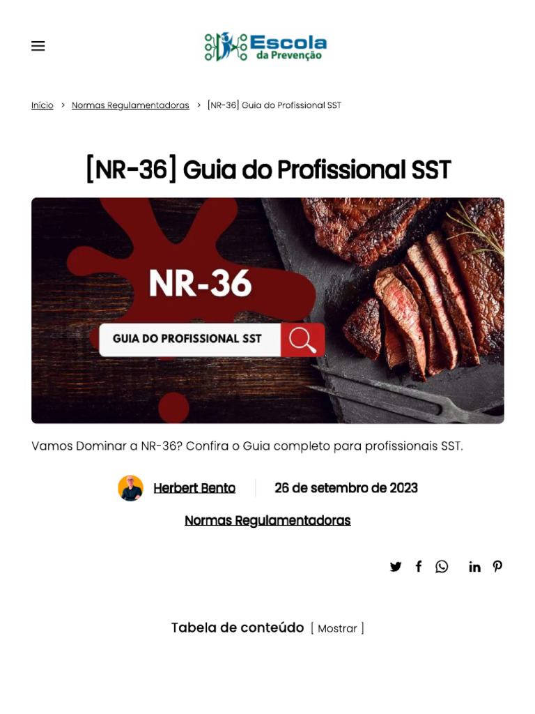 NT 36 Guia Do Profissional SST | PDF