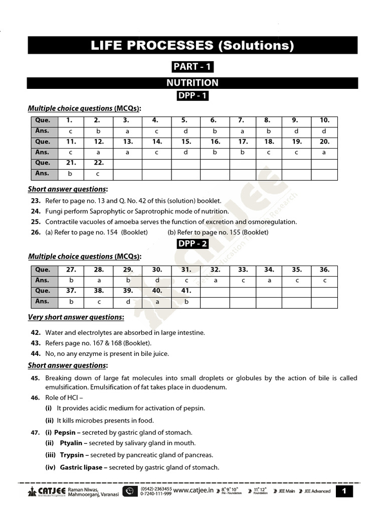 Life Processes (Solution) - 21 | PDF | Digestion | Stomach