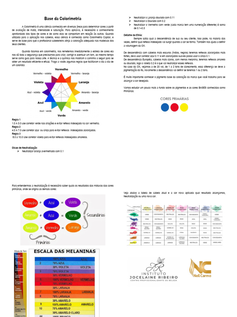 Guia de Colorimetria Capilar: Regras e Dicas | PDF | Cor | Cabelo
