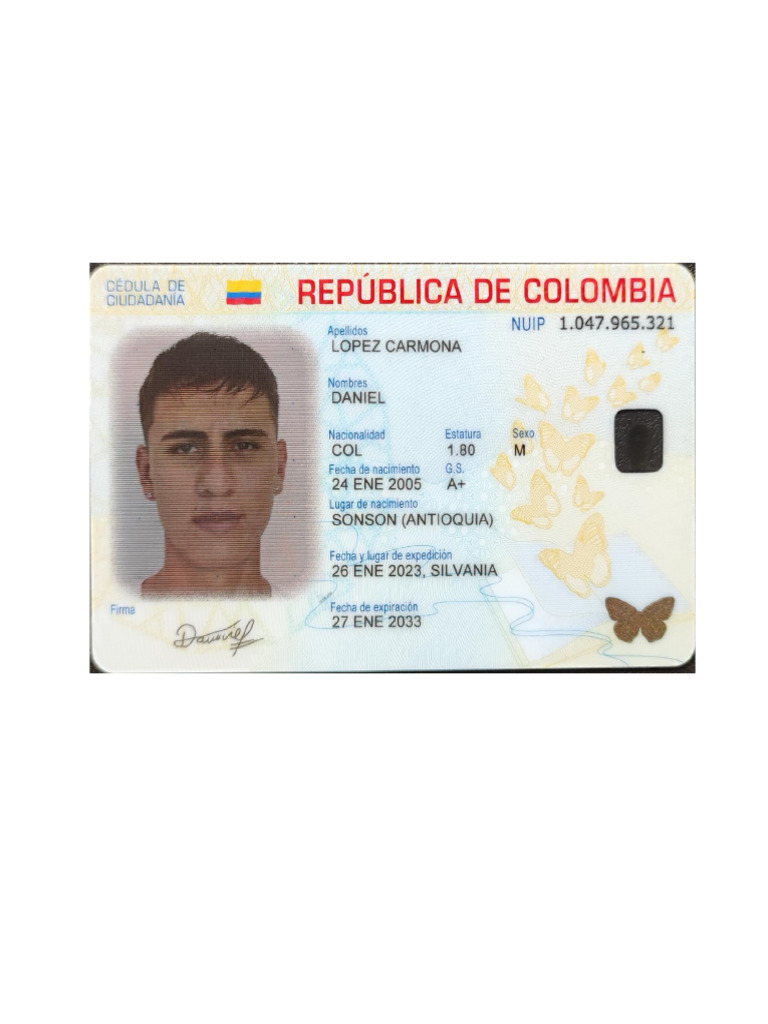 CC. Daniel Lopez | PDF