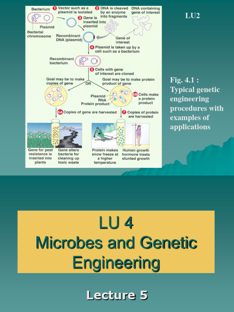 LU2 Genetic Engineering - Lecture 5 | PDF | Dna Sequencing | Molecular ...
