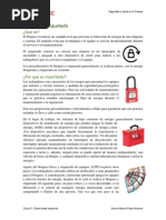 Protocolo Loto | PDF | Ingenieria Eléctrica