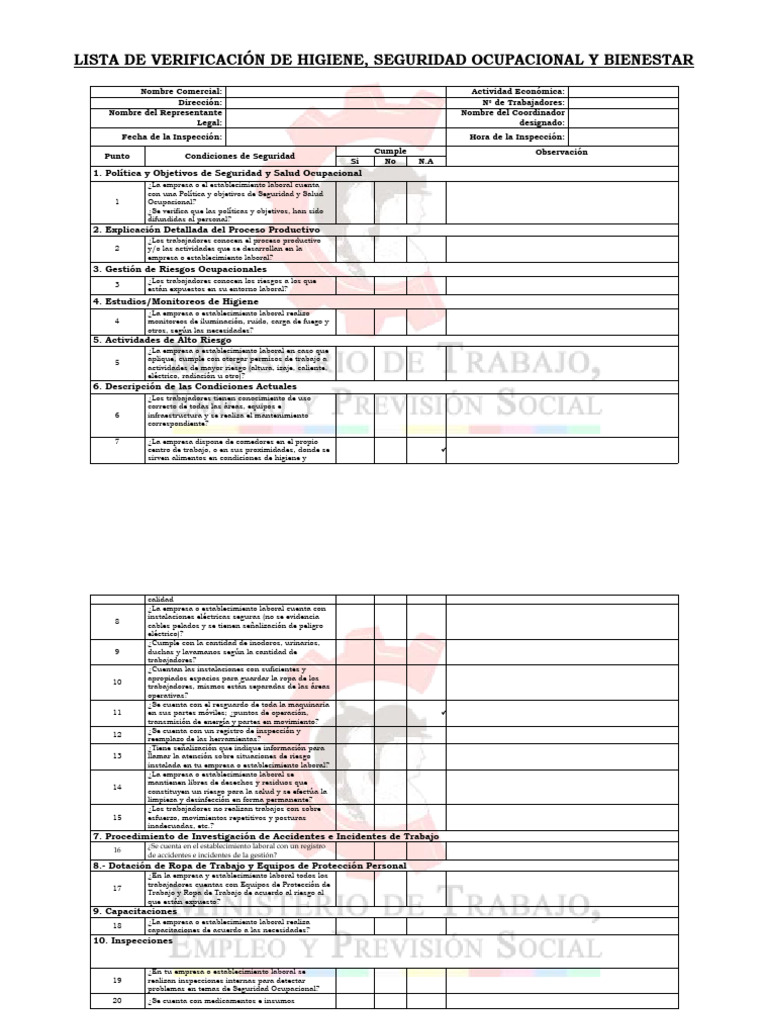 Verificación de Seguridad y Salud Laboral | PDF | Seguridad y salud ...