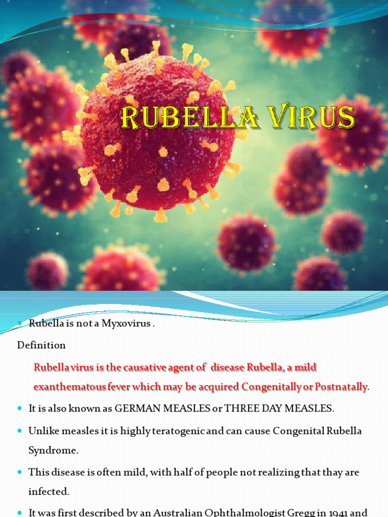 Rubella Virus | PDF | Virus | Infection