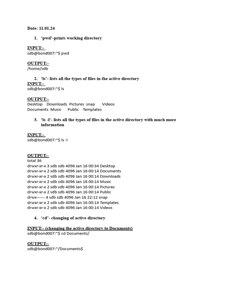 Linux Report | PDF | Directory (Computing) | Computer Science