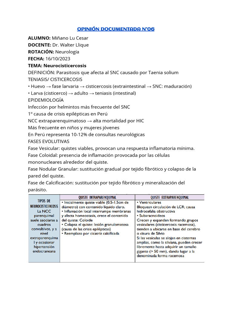 Od6 - Neuro - Miñano Lu Cesar | PDF