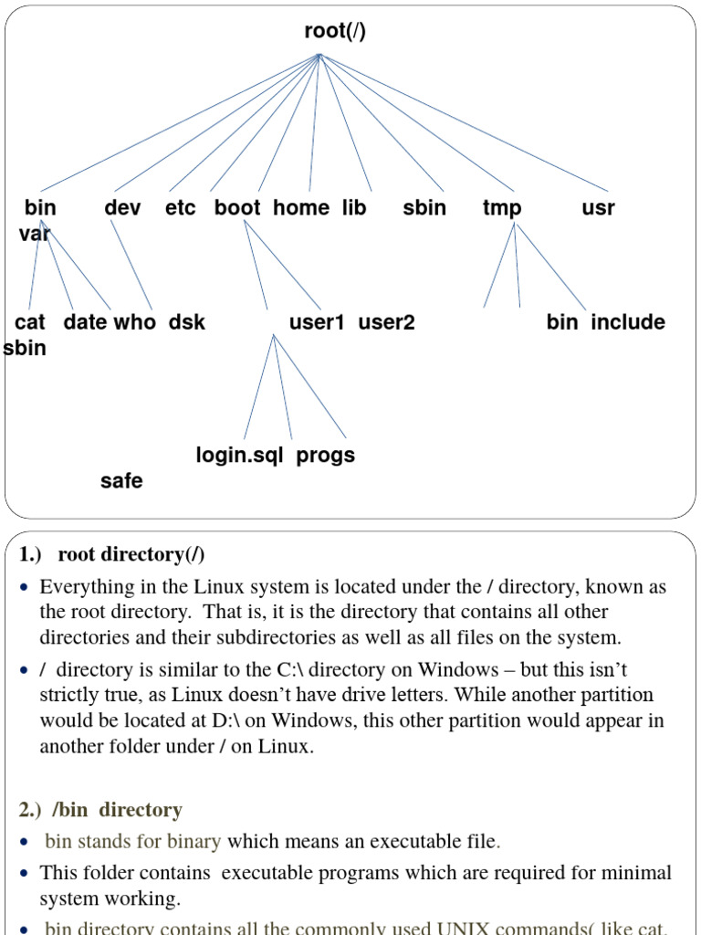 Lecture 2 Linux Standard File System Pdf Directory Computing 0752