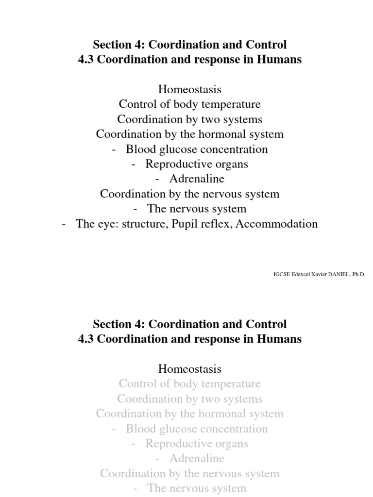 Section 4 Coordination and Control 4 3 C | PDF | Nervous System | Motor ...