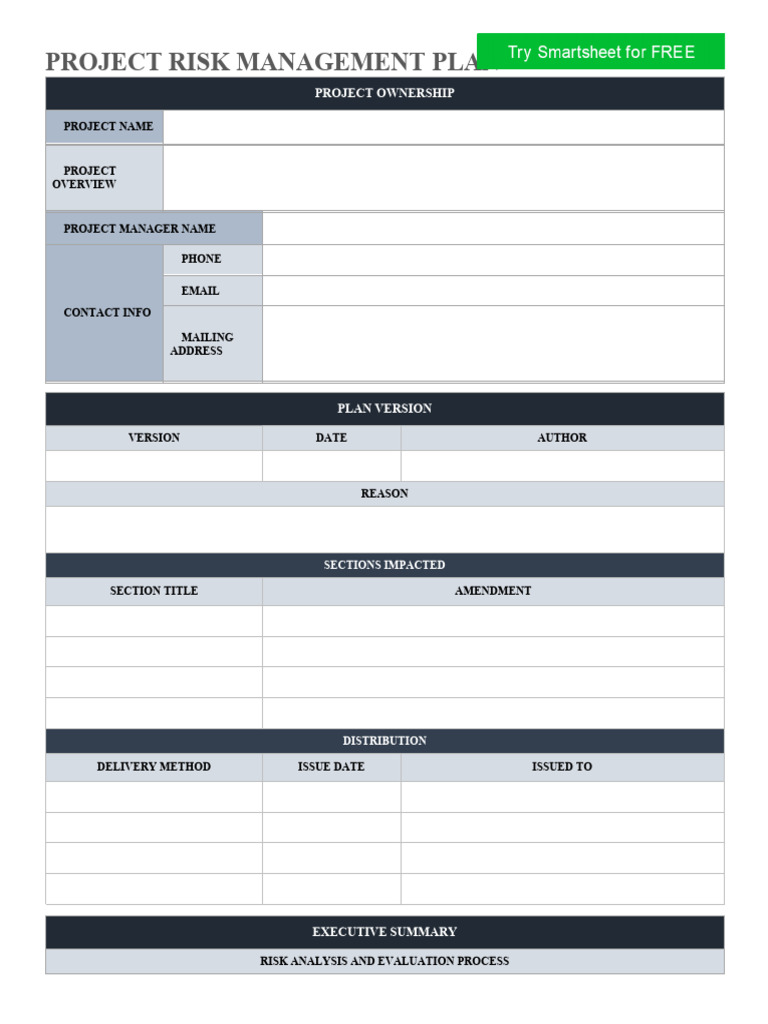 IC Project Risk Management Plan 11377 - WORD | PDF