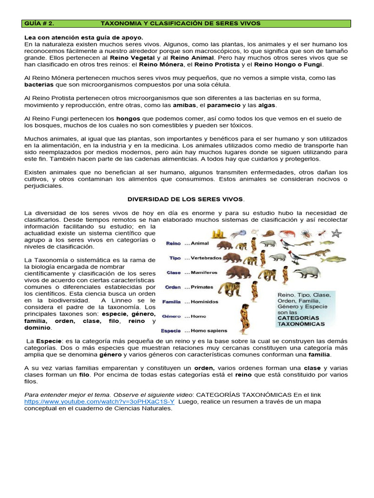 Taxonomía de los Seres Vivos | PDF