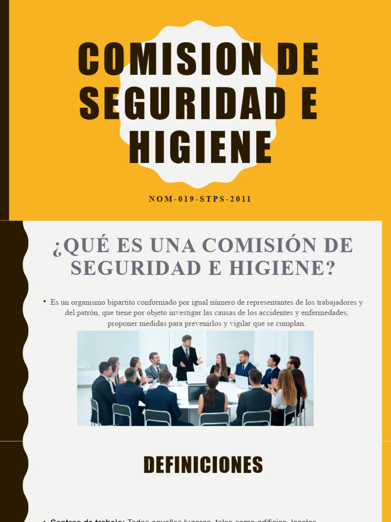 Comision de Seguridad e Higiene | PDF
