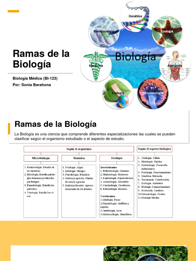 TEMA 4 Ramas de La Biología | PDF | Botánica | Biología