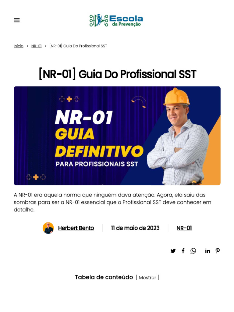 NR 1 Guia Do Profissional SST | PDF