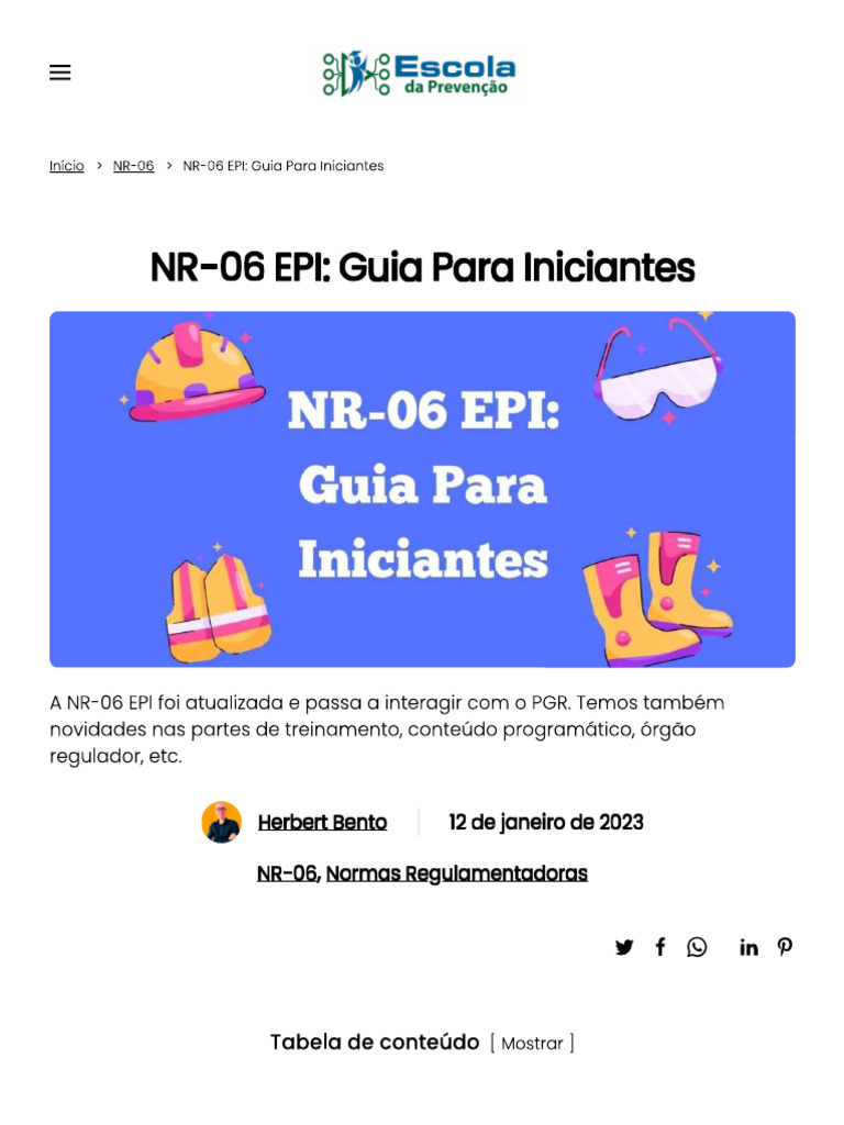 NR 6 EPI Guia Do Profissional SST | PDF