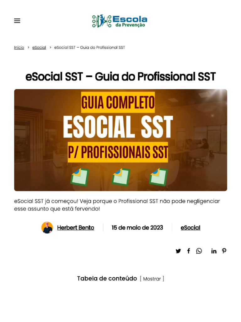 ESocial SST Guia Do Profissional SST | PDF