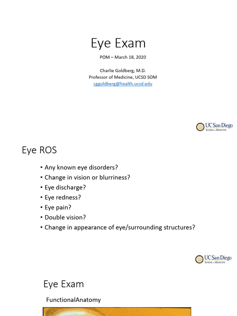 Eye Exam | PDF | Human Eye | Visual Acuity