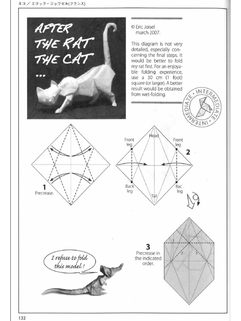 After The Rat, The Cat ... - Eric Joisel | PDF