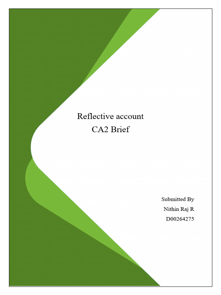 Reflective Account CA2 Brief | PDF | Marketing | Sustainability