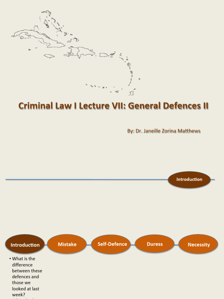 Criminal Law I Lecture VII | PDF | Mens Rea | Public Sphere