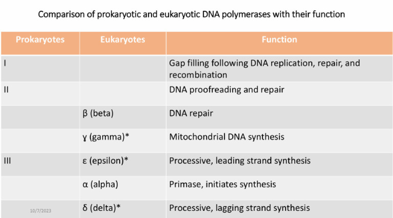 Biochem 3 | PDF