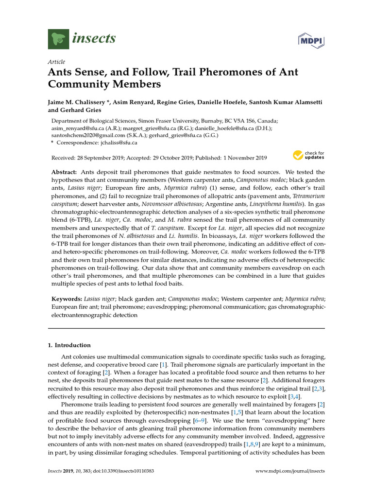 Ants Sense and Follow Trail Pheromones of Ant Comm | PDF | Apocrita | Myrmecology