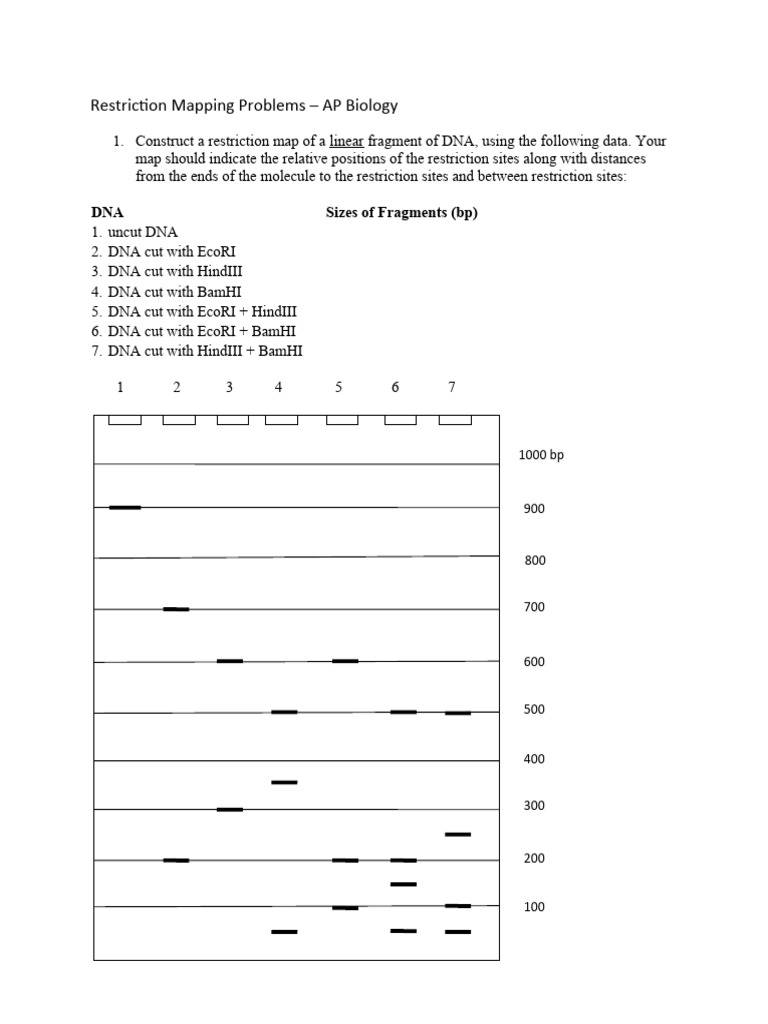 Restriction Mapping Problems Pdf