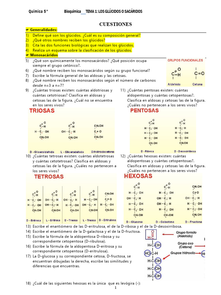 Glúcidos: Definición y Clasificación | PDF | Carbohidratos | Biomoléculas