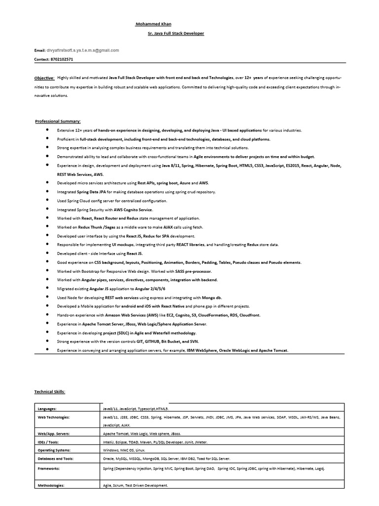 Ifhaam Java Developer GC Candidate | PDF