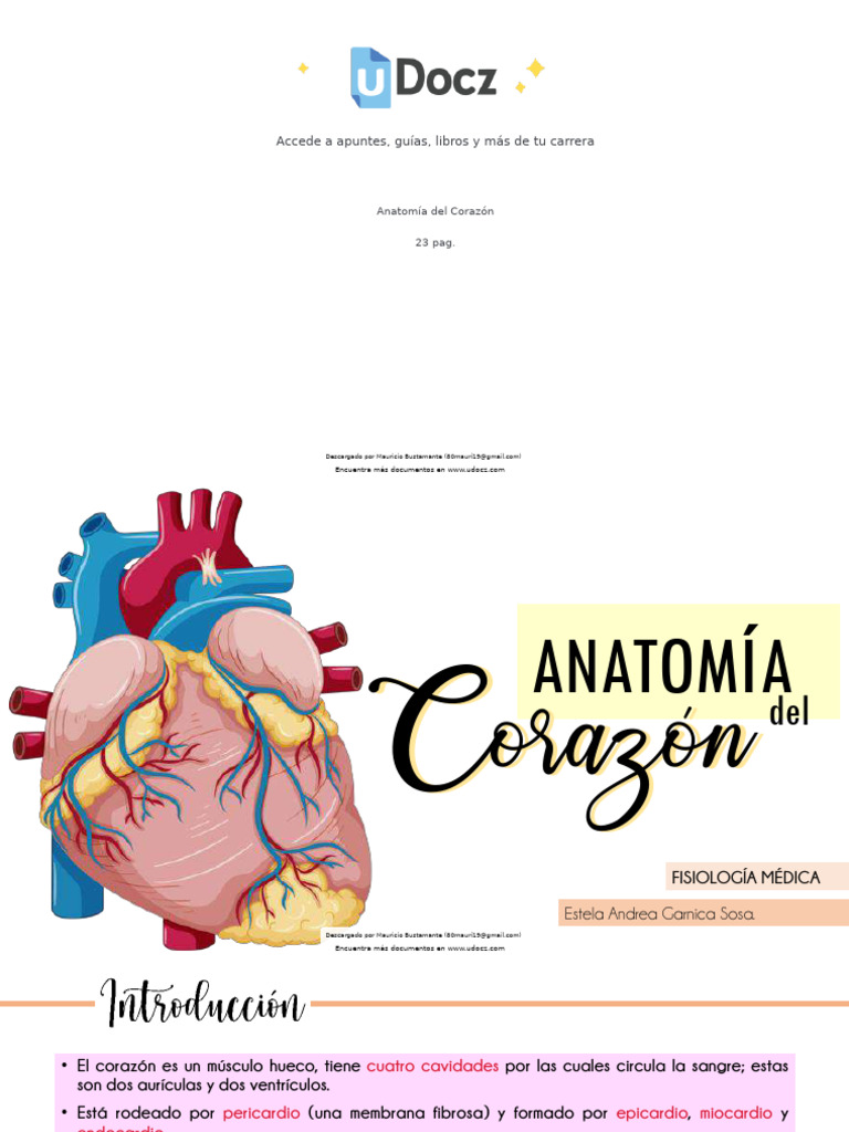 Anatomía y Fisiología del Corazón | PDF | Corazón | Ventrículo (corazón)