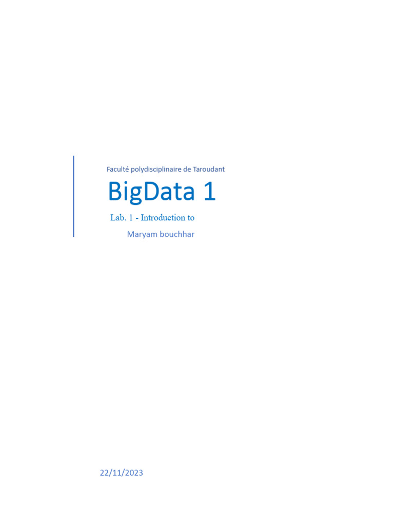 Big Data - Lab 1 | PDF | Ordinateurs | Technologie et ingénierie