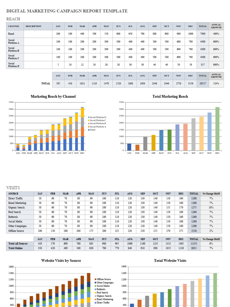 IC Digital Marketing Campaign Report Template | PDF | Human ...