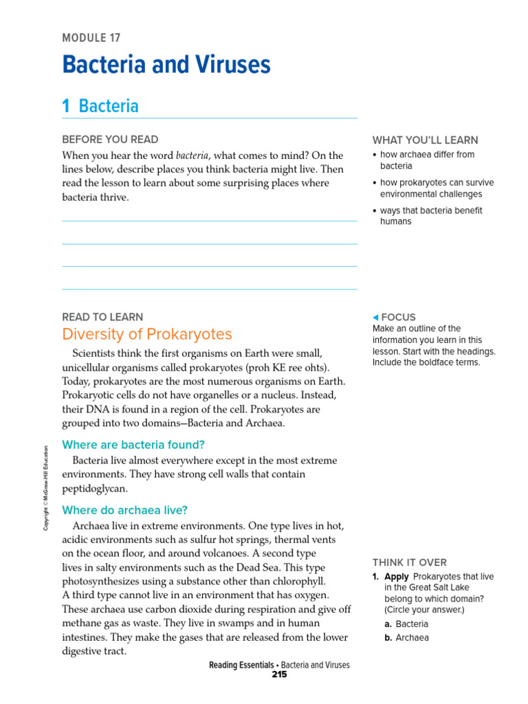 Bacteria and Viruses BOOK | PDF | Virus | Bacteria
