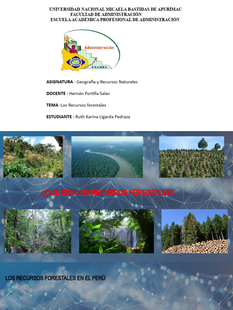 Recursos Forestales | PDF