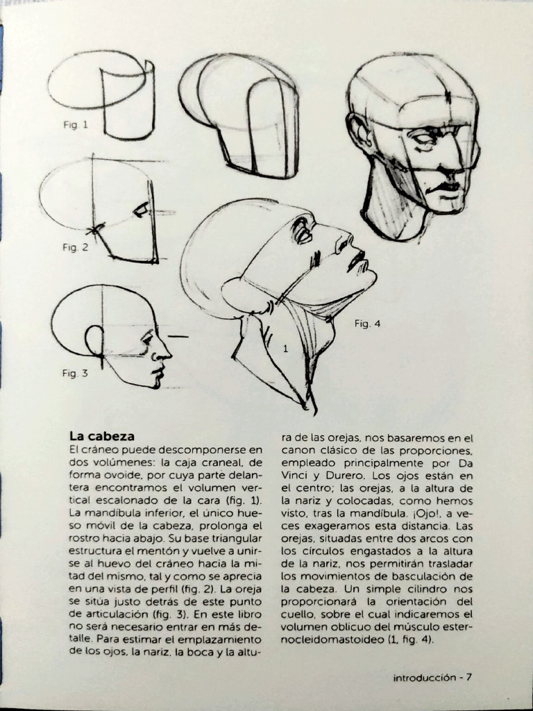 Anatomía Artística 1 Pdf